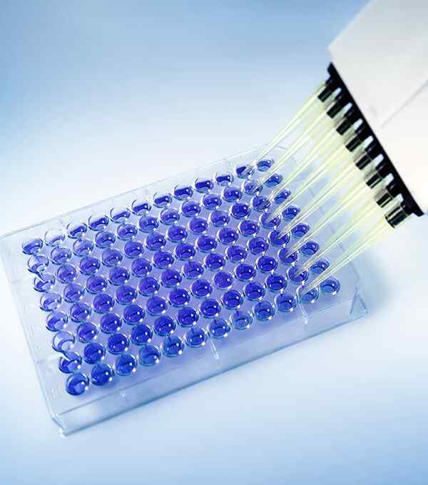 Prime Diagnostics Labs – Results You Can Trust